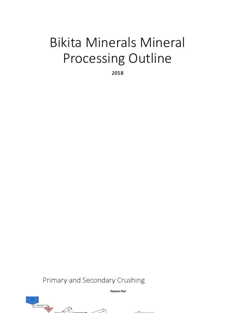Bikita Min Pro Outline | PDF | Procedural Knowledge | Business Process