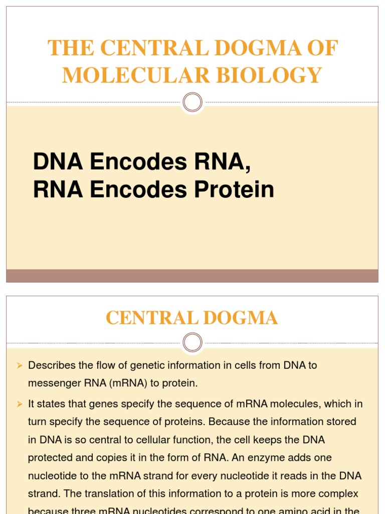 The Central Dogma of Molecular Biology: DNA Encodes RNA, RNA Encodes ...
