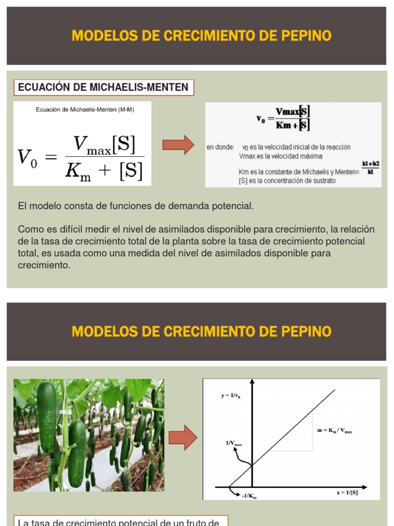 Modelos de crecimiento de pepino: revisión de la ecuación de Michaelis ...