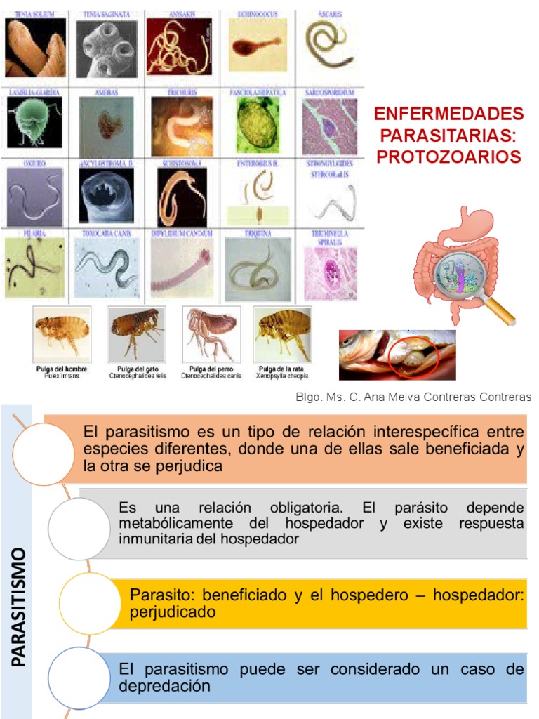 1 Enfermedades Parasitarias Protozoos | Parasitismo | Parasitología