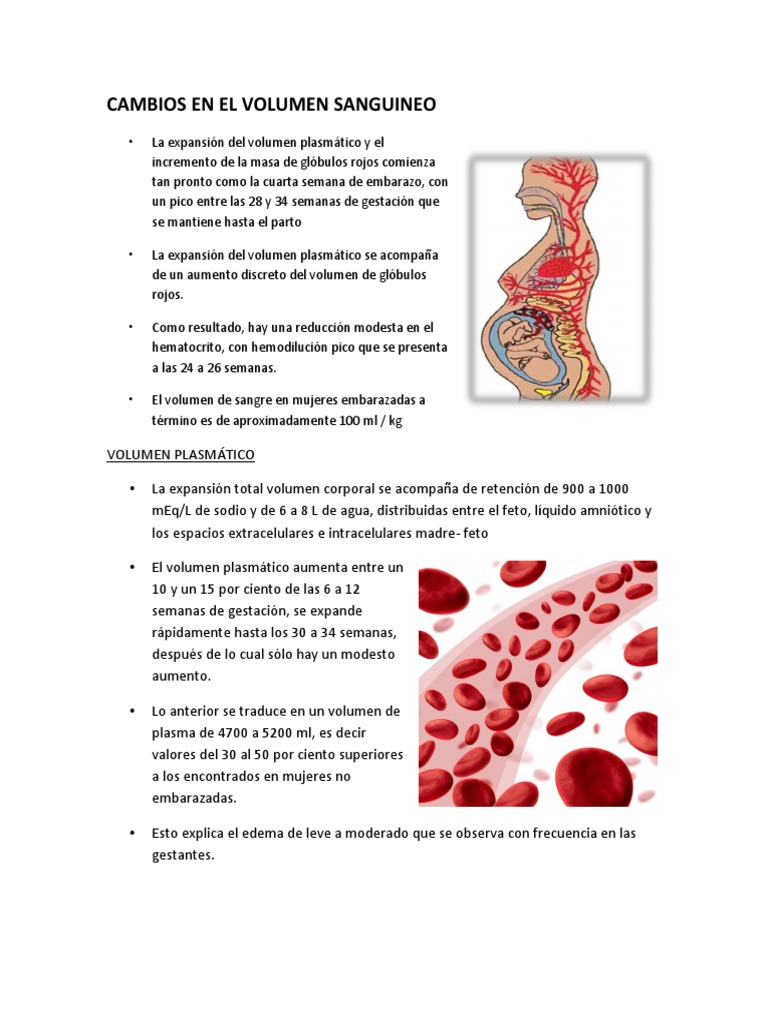Cambios en El Volumen Sanguineo | PDF | Sangre | El embarazo