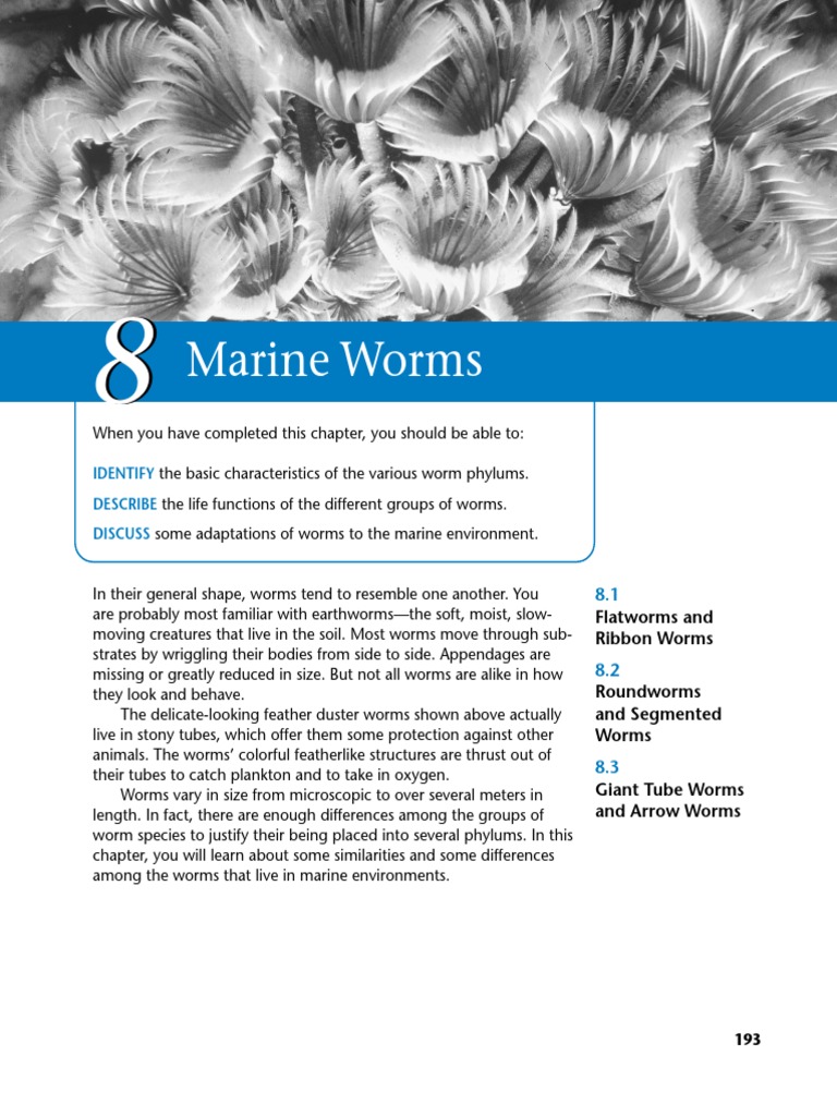 Marine Worms: Identification and Adaptations | PDF | Nematode | Organisms