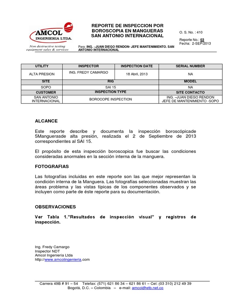 Boroscope Report | PDF