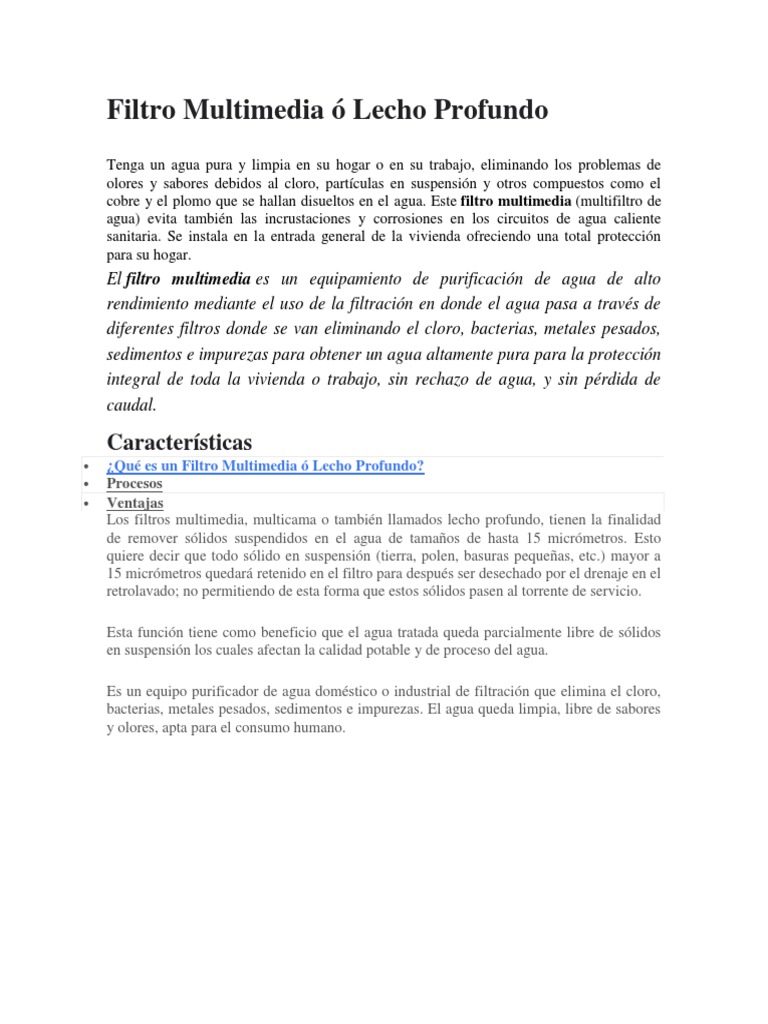 Filtro Multimedia Ó Lecho Profundo | PDF | Ósmosis | Materiales