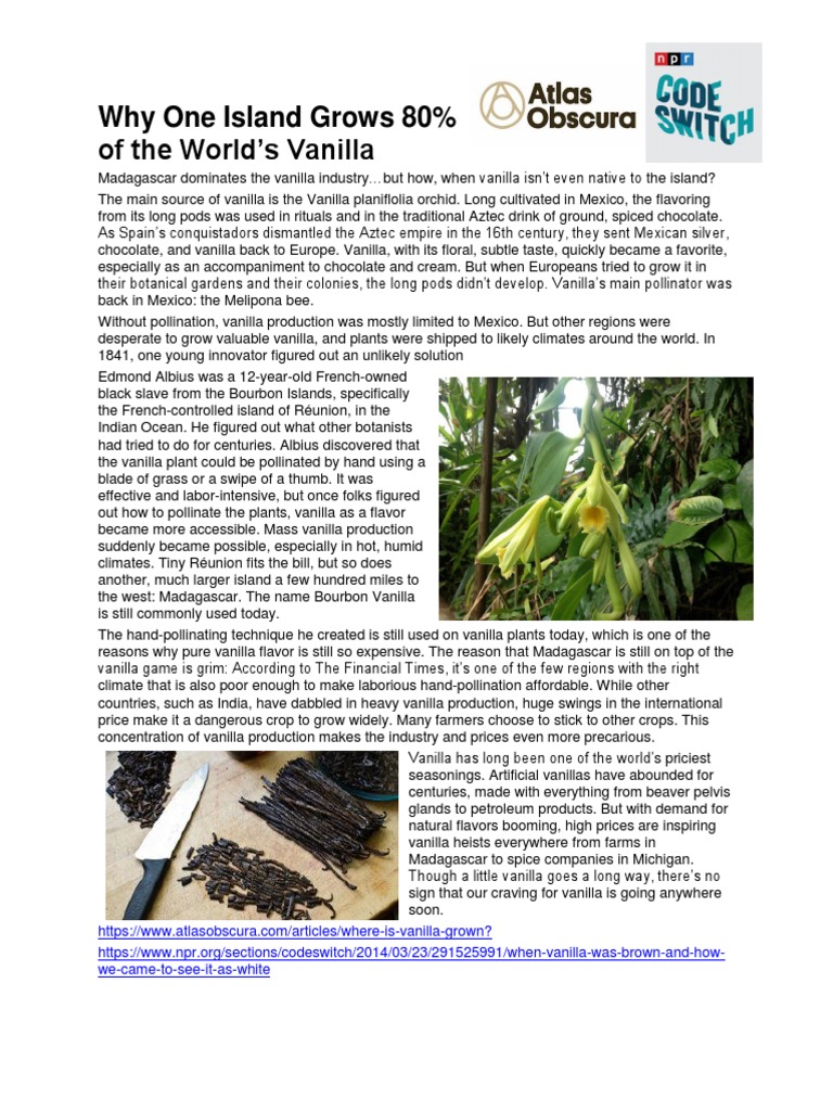 Madagascar's Vanilla Dominance | PDF | Vanilla | Agriculture