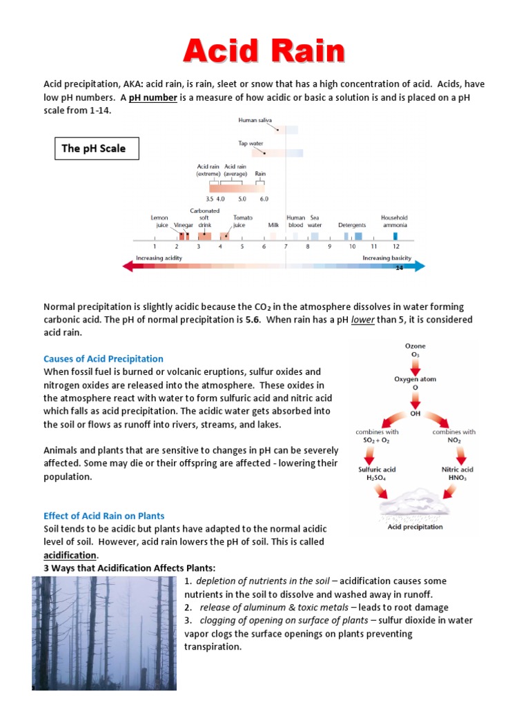 Acid Rain | PDF | Ph | Soil