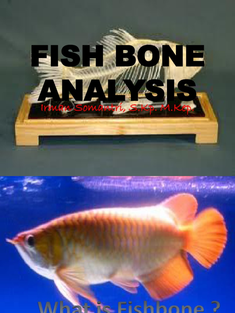 Fish Bone Analysis: Irman Somantri, S.Kp. M.Kep | PDF | Causality ...