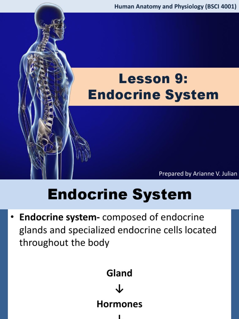 Lesson 9: Endocrine System: Prepared by Arianne V. Julian | PDF ...