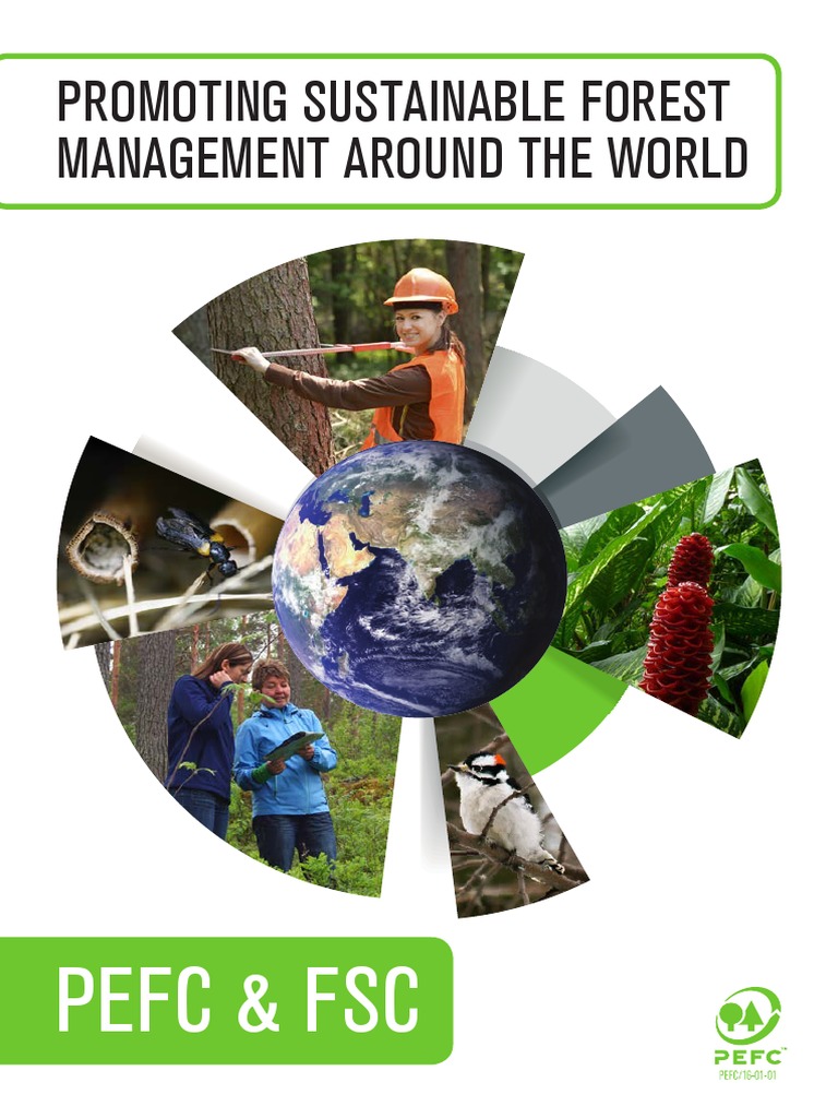 PEFC Promoting Sustainable Forest Management Globally WEB PDF | PDF ...