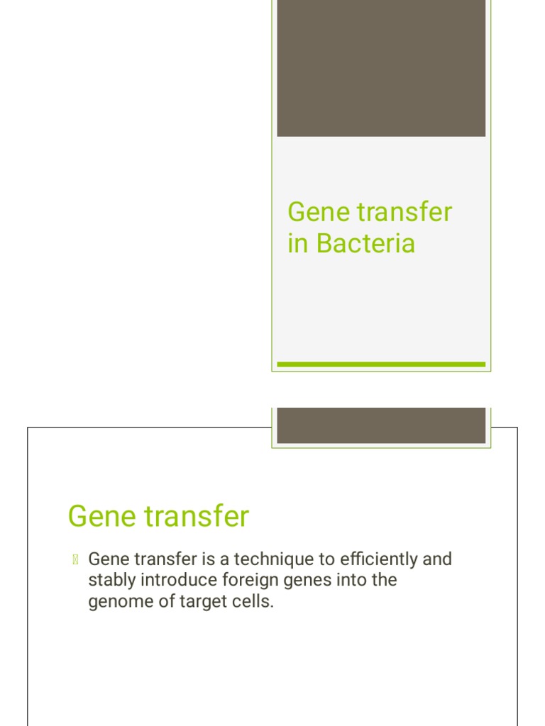 Gene Transfer in Bacteria | PDF | Self-Improvement