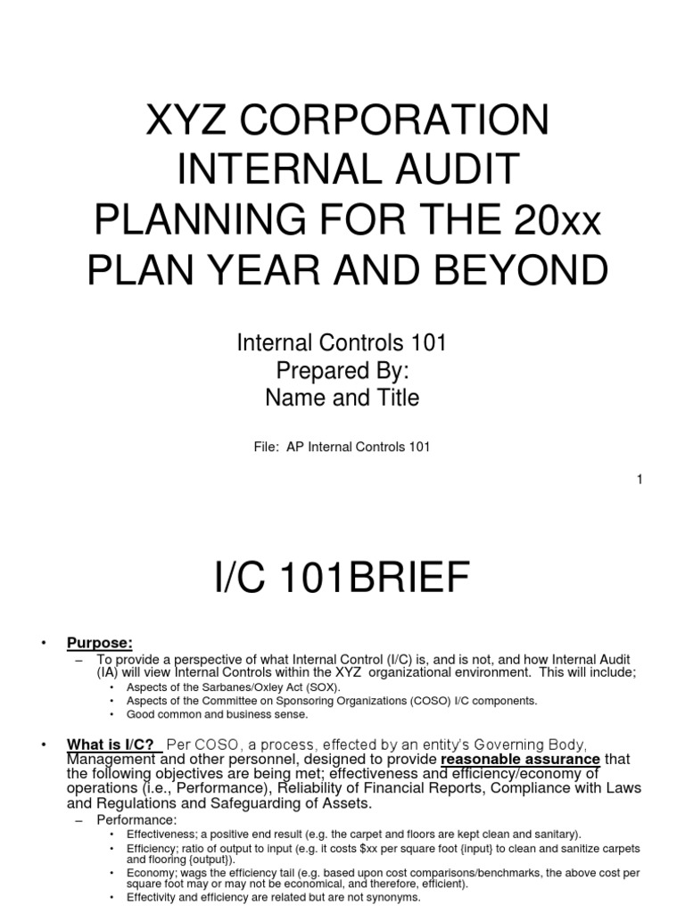 201602AP Internal Controls 101 | PDF | Internal Control | Business