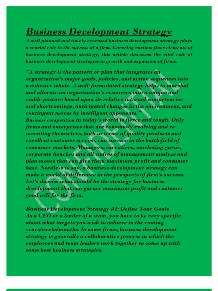 Business Development Strategy | PDF | Business Development | Strategic ...