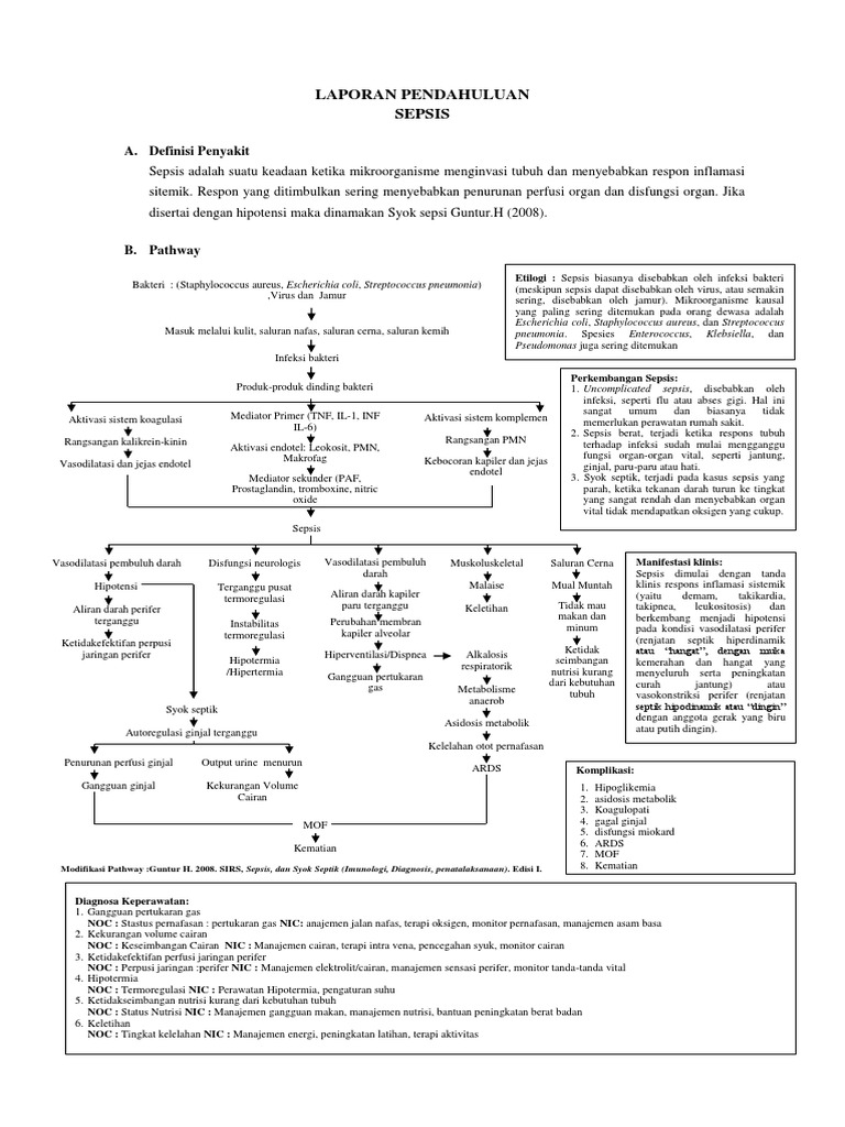 LP Sepsis Pathway | PDF