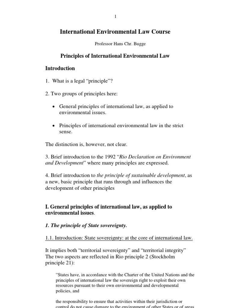 Principles of International Environmental Law V 10-1 | PDF ...