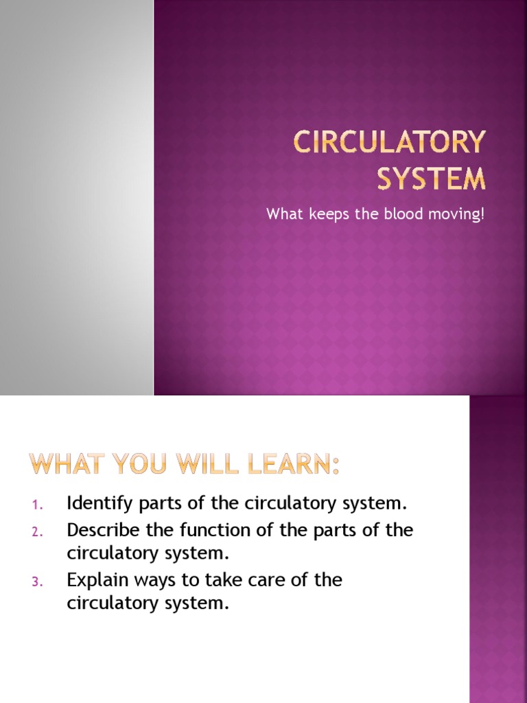 4th Class Circulatory System | PDF | Circulatory System | Blood