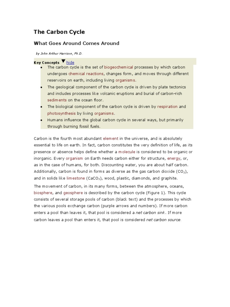 The Carbon Cycle | PDF | Carbon Dioxide In Earth's Atmosphere | Carbon ...