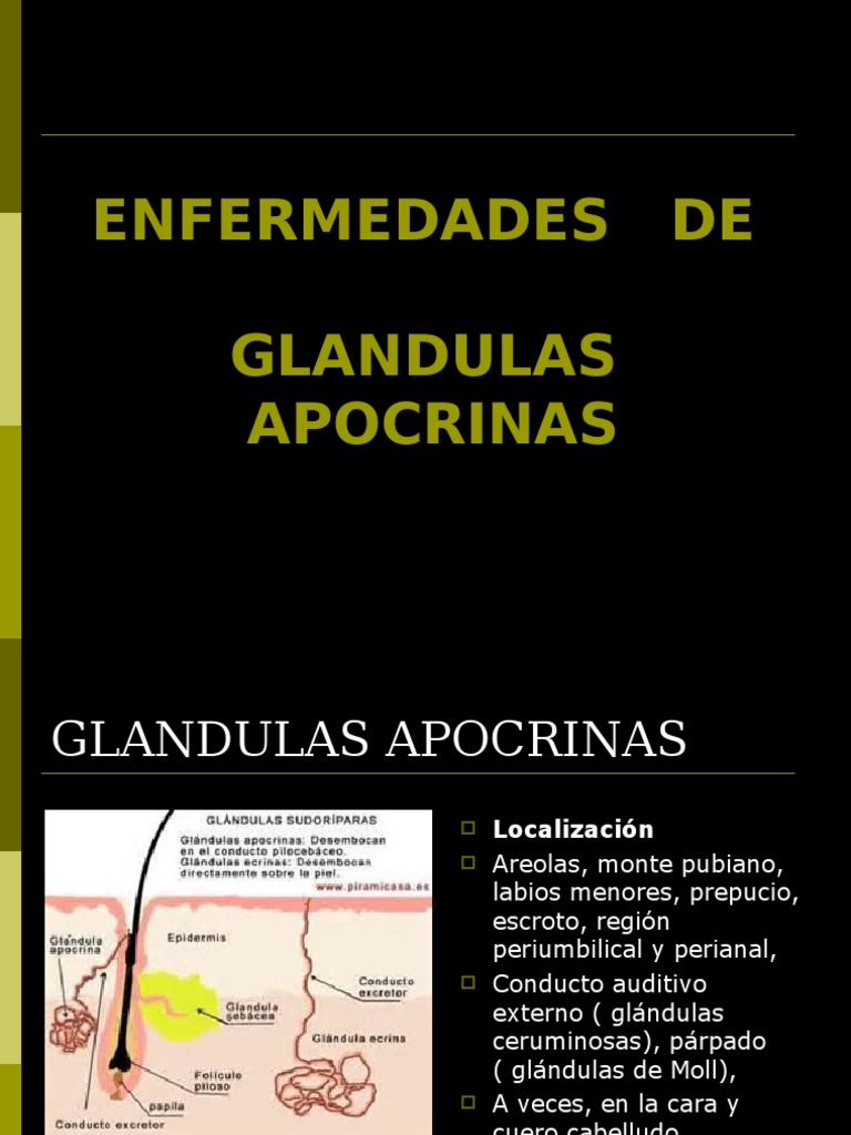 Enfermedades de Glandulas Apocrinas | PDF