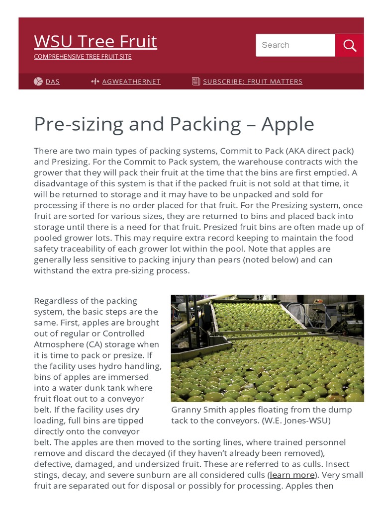 Pre-Sizing and Packing - Apple | PDF | Apple | Warehouse
