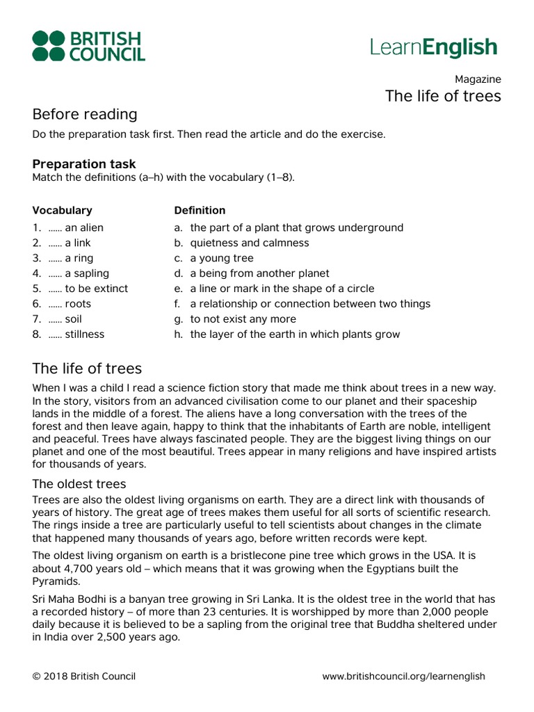 LearnEnglish Magazine The Life of Trees | PDF | Trees | Nature