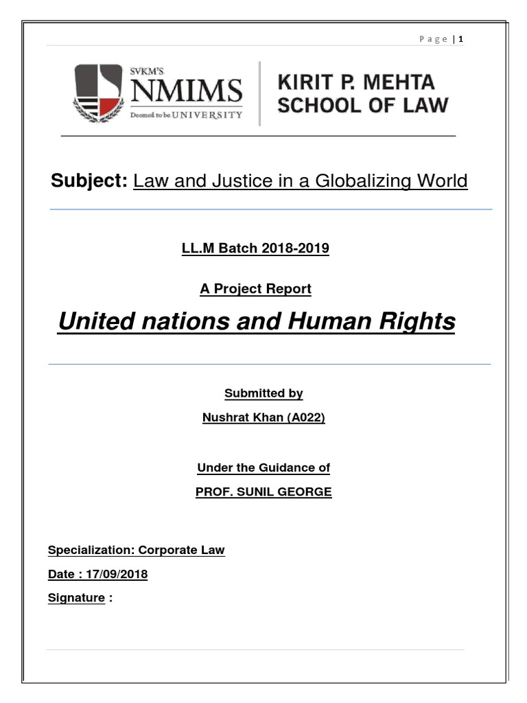 Project United Nations and Human Rights | PDF | United Nations ...