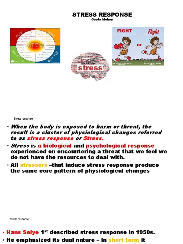 Stress Response | PDF | Adrenal Gland | Stress (Biology)