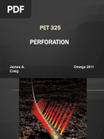Perforating Gun Types | PDF | Explosive Material | Chemistry