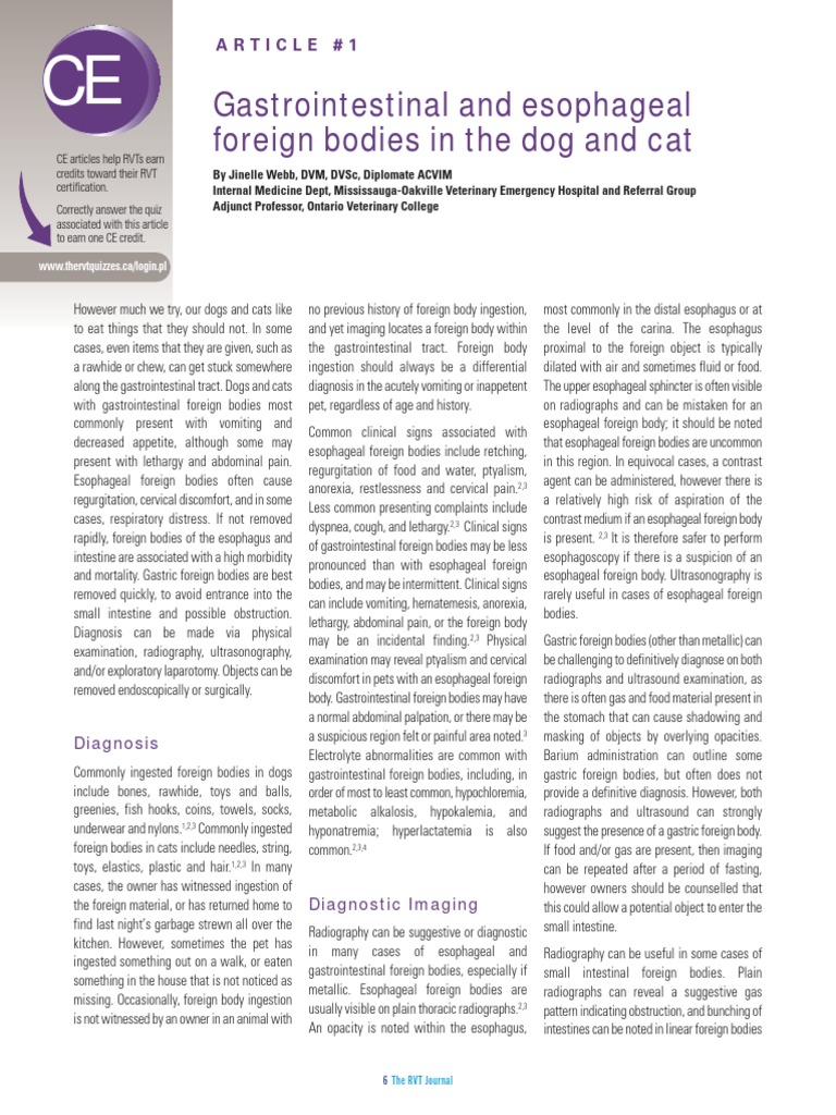 Gastrointestinal and Esophageal Foreign Bodies in The Dog and Cat | PDF ...