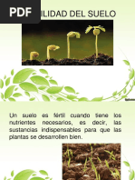 Suelos Humíferos - Características, Tipos y Animales - Lifeder PDF ...