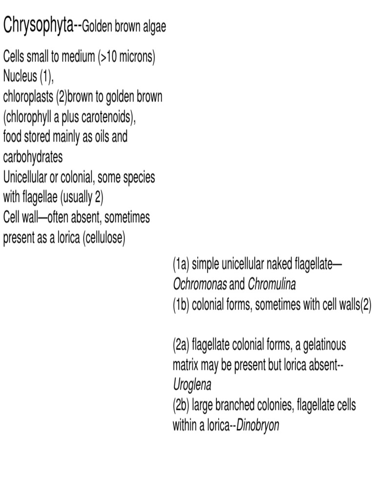 Chrysophyta - : Ochromonas and Chromulina | PDF | Cell (Biology) | Cell ...