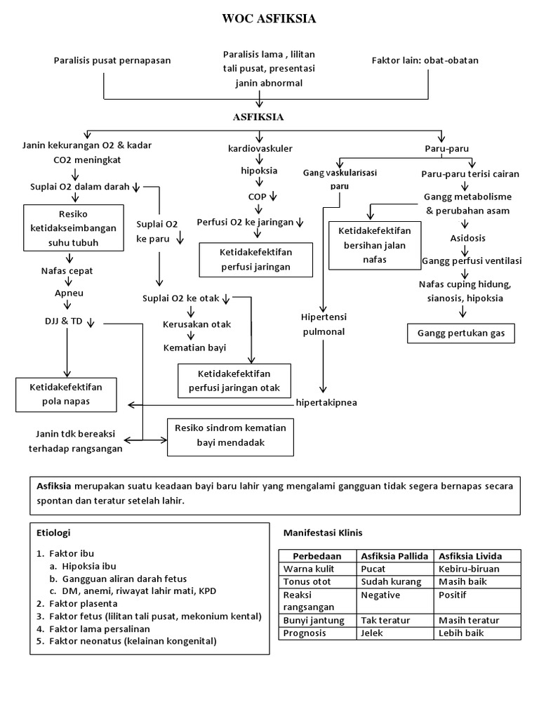 Pathway Asfiksia | PDF