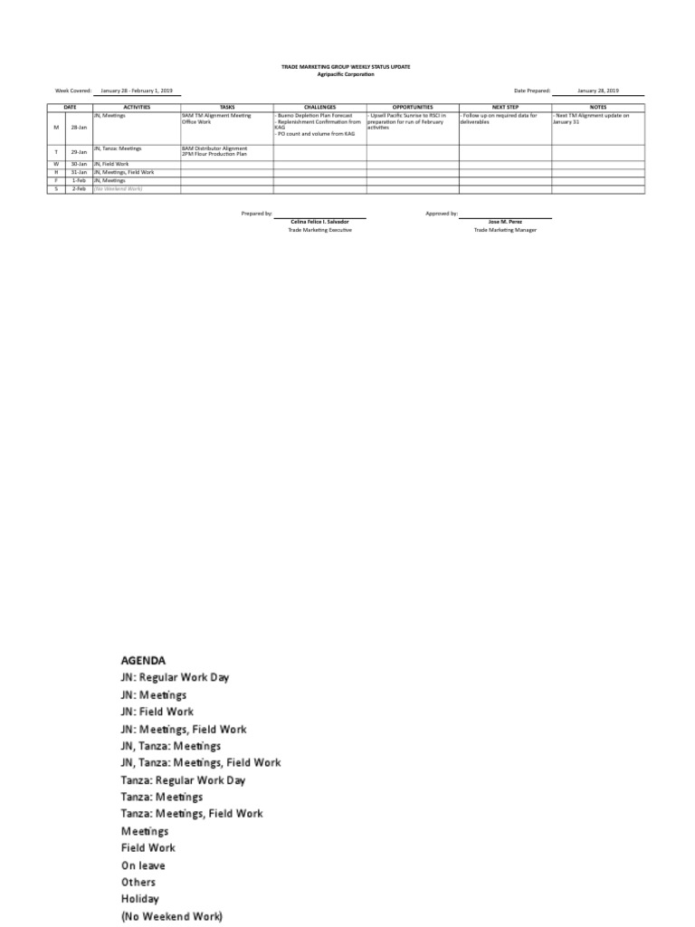 Template - TM Weekly Reports | PDF | Business