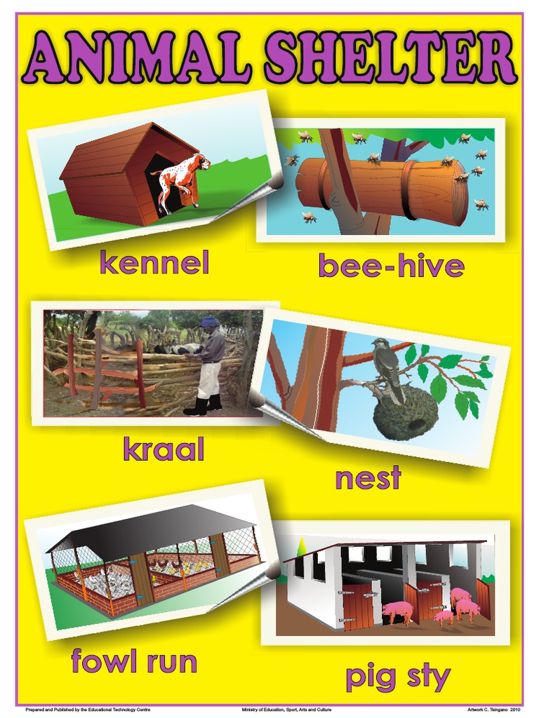 Animal Shelter | PDF