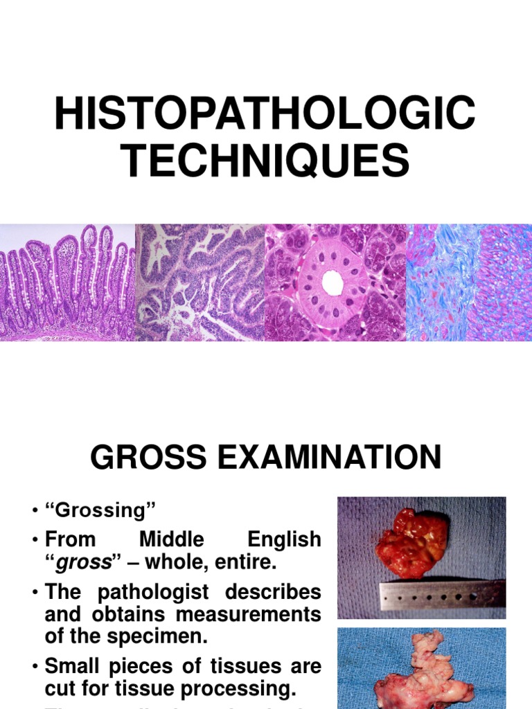 Histopath Review 2017 (3.0 hrs lecture) Notes-converted.pdf | Fixation ...