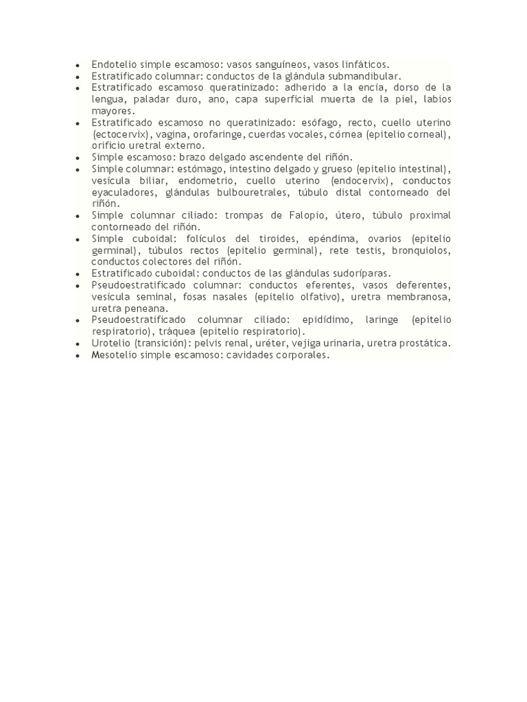Endotelio Simple Escamoso | PDF
