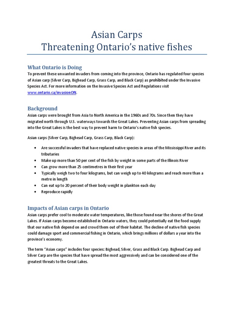 Asian Carps Fact Sheet | PDF