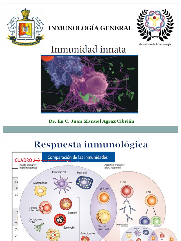 2a. Inmunidad Innata | PDF | Sistema inmune | Sistema inmune innato