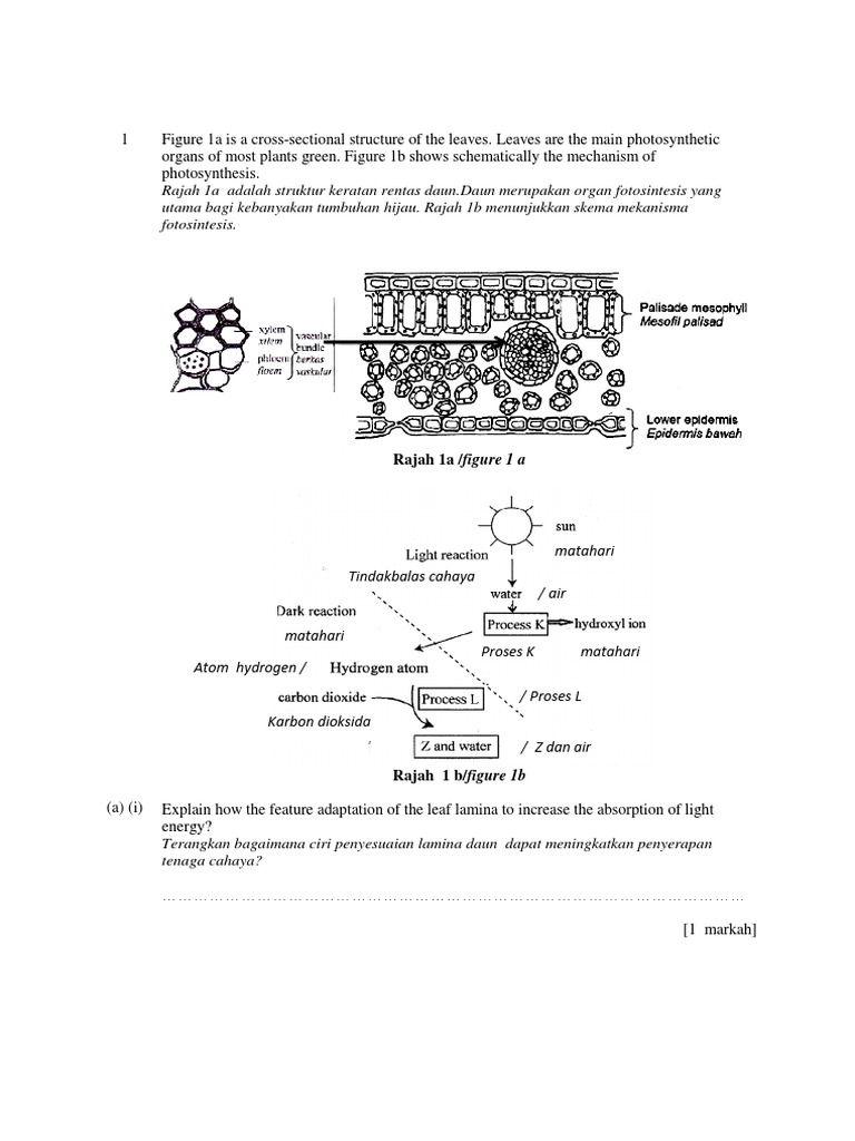 Handout Bio f4 CHPTR 6 | PDF