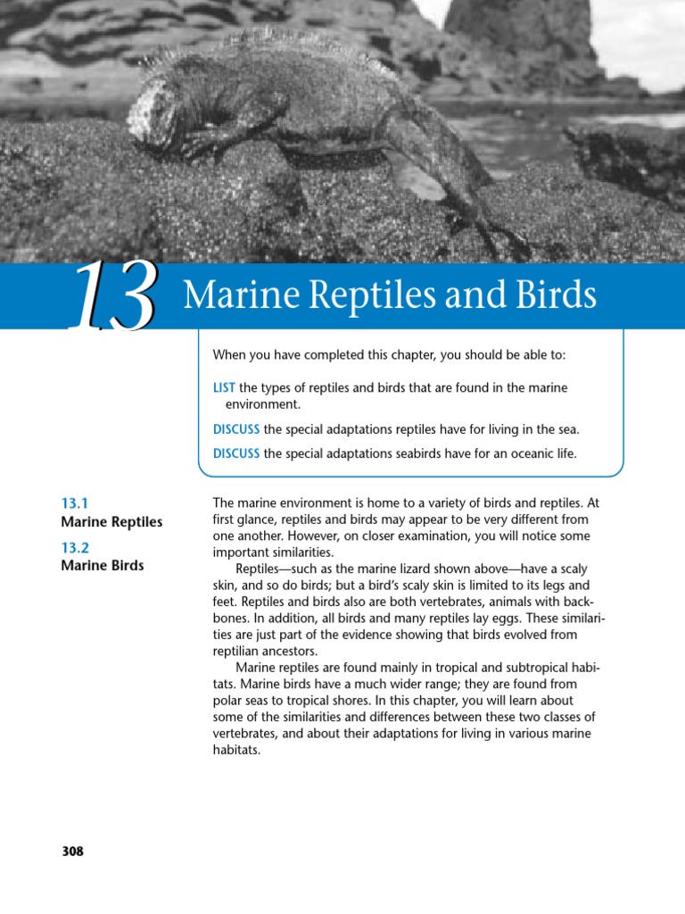 Marine Science - Reptiles | PDF | Sea Turtle | Seabird