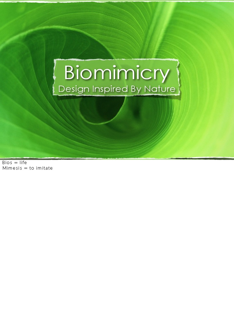 Biomimicry PDF | PDF | Ecological Resilience | Design