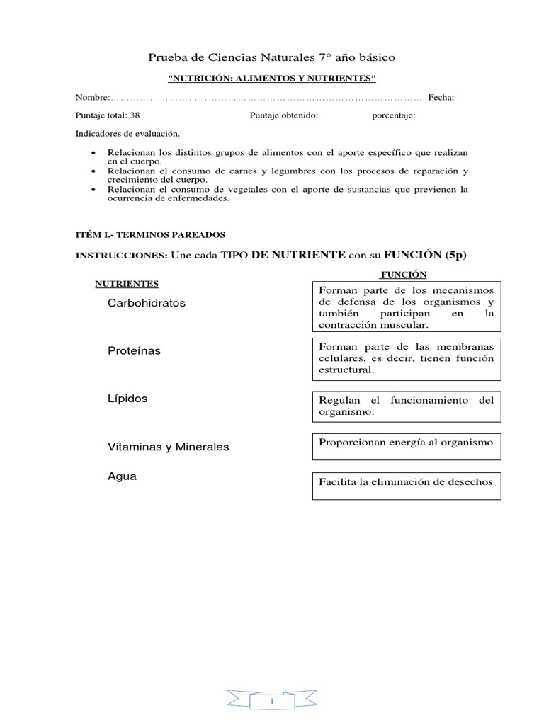Prueba de Ciencias Naturales 7° Año "NUTRICIÓN: ALIMENTOS Y NUTRIENTES ...