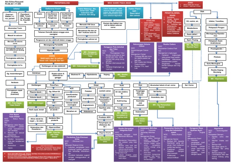 Alin Erlina Rosyanti-2b-Woc Diare Pada Anak | PDF