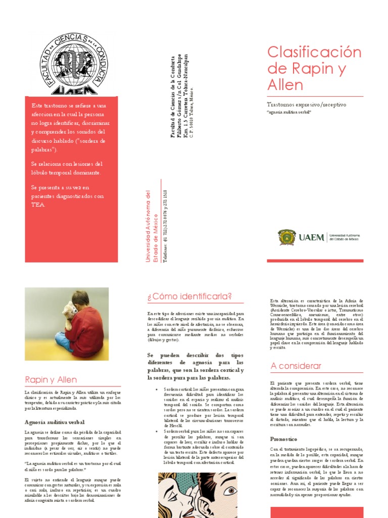 Agnosia Verbal Triptico | PDF | Lóbulo temporal | Afasia