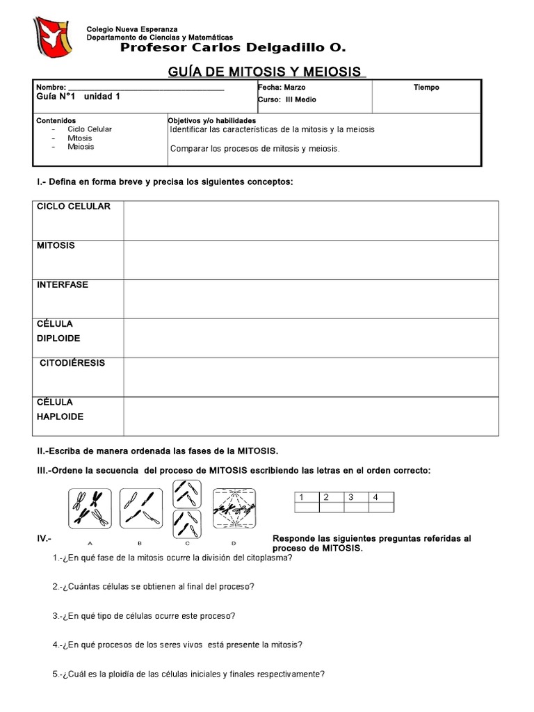Guia de Mitosis y Meiosis | PDF | Mitosis | Mitosis