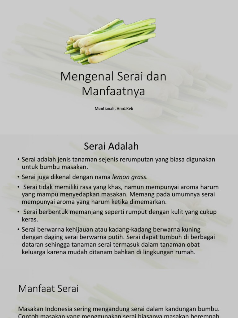 Manfaat Serai untuk Kesehatan dan Kecantikan | PDF | Pengembangan Diri ...