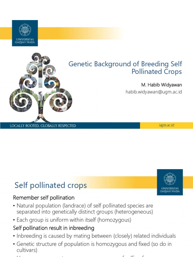 Genetic Background of SPC | PDF | Biological Evolution | Evolutionary ...