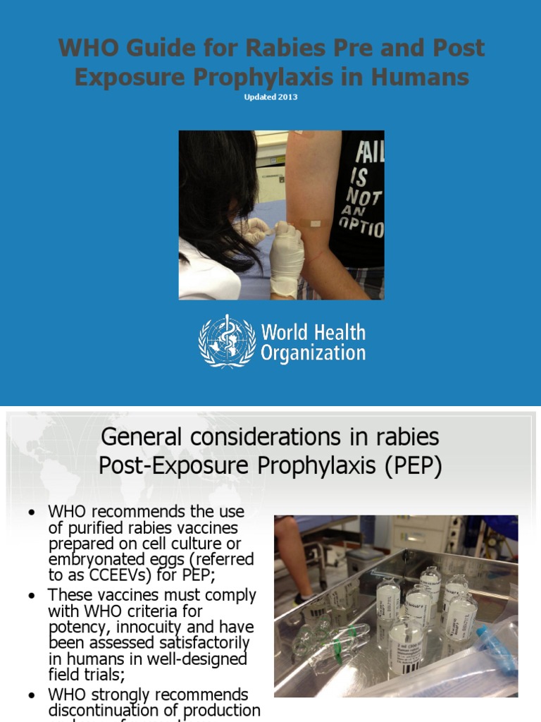 WHO Guide For Rabies Pre and Post Exposure Prophylaxis in Humans | PDF ...