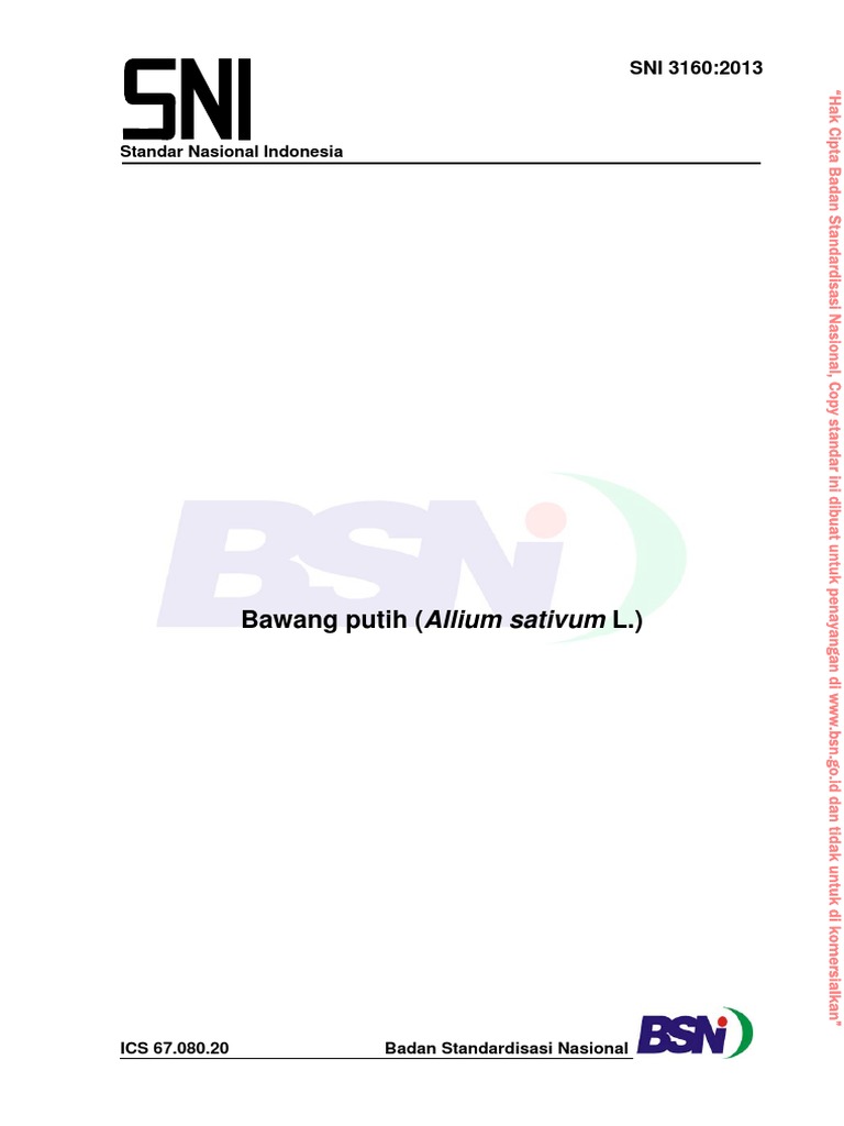 SNI 3160-2013 Bawang Putih | PDF