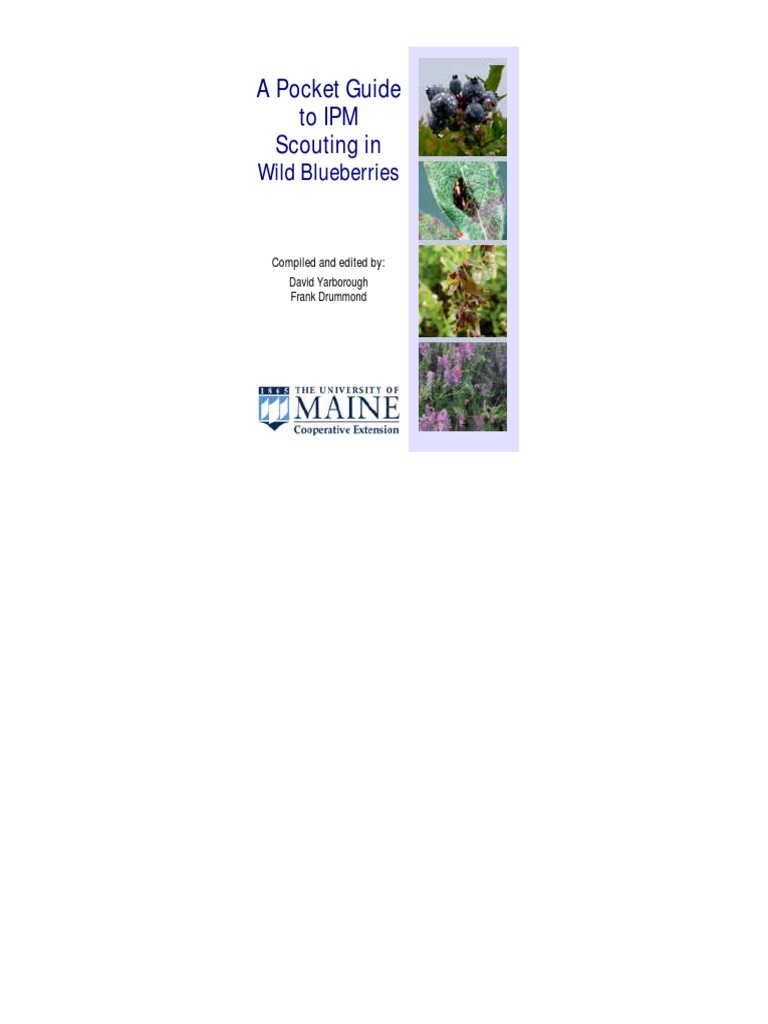 A Pocket Guide To IPM Scouting In: Wild Blueberries | PDF | Bees | Wound