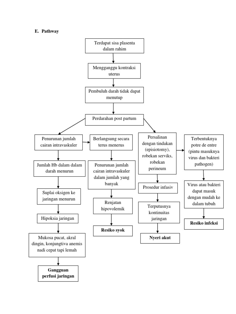 Pathway Rest Plasenta | PDF