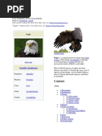 Overview of Eagle Taxonomy and Species | PDF
